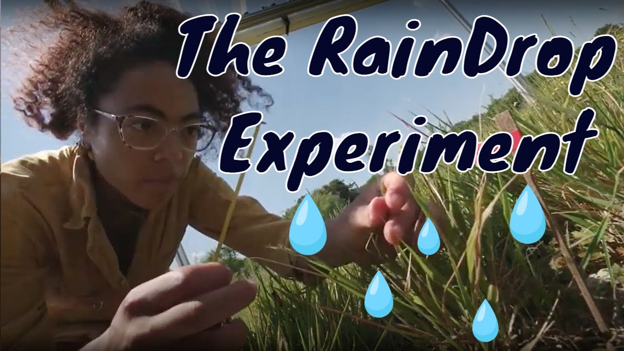 The RainDrop Experiment