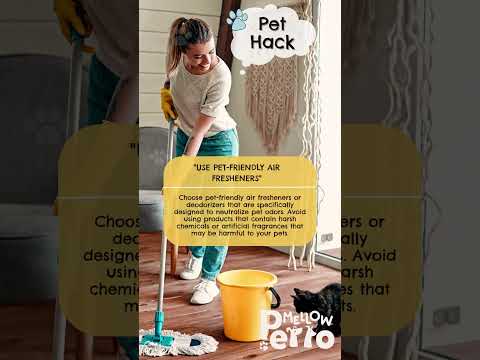 Freshen Up Safely: Pet-Friendly Air Fresheners for a Pleasant Home Environment