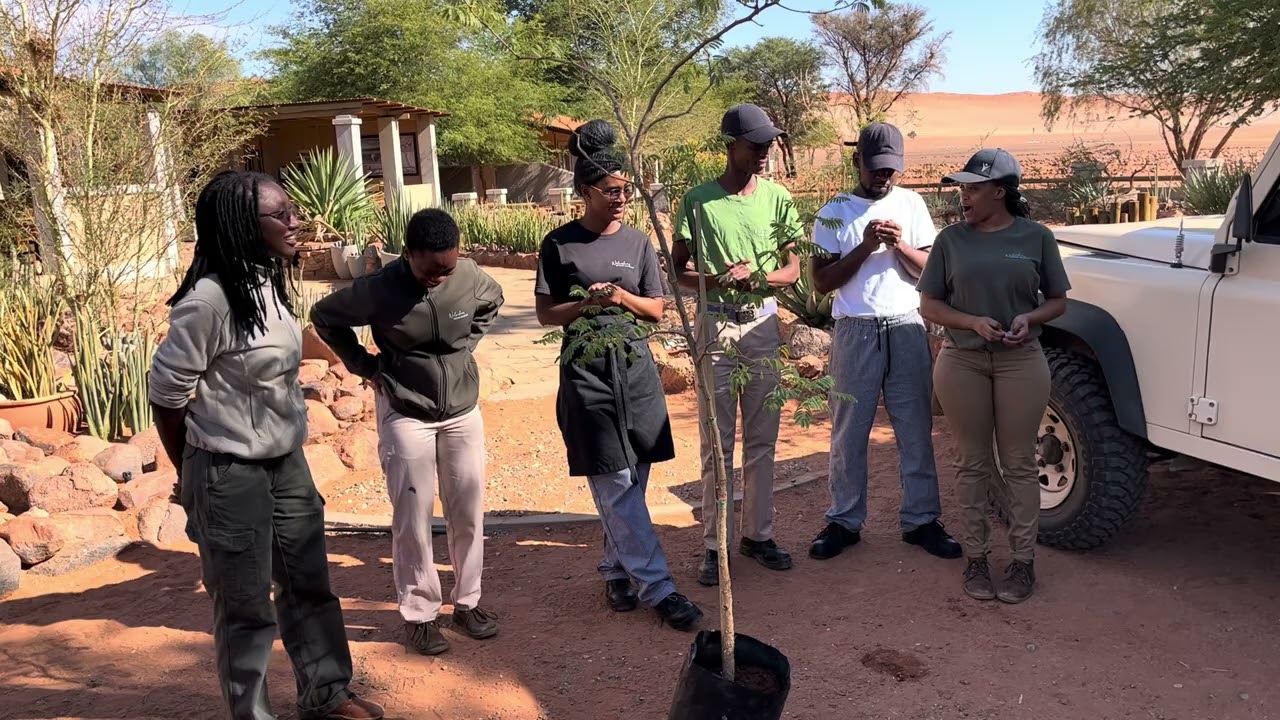A Tree of Gratitude: A Gesture of Appreciation in Namibia - African ...