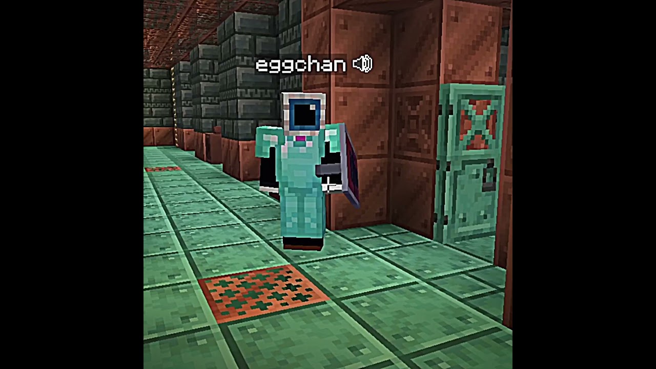 Eggchan Finds Were A Player Teleported