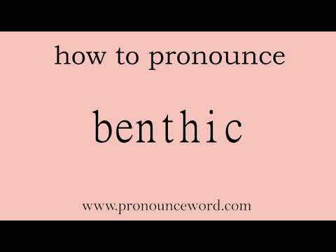 benthic: How to pronounce benthic in english (correct!).Start with B. Learn from me.