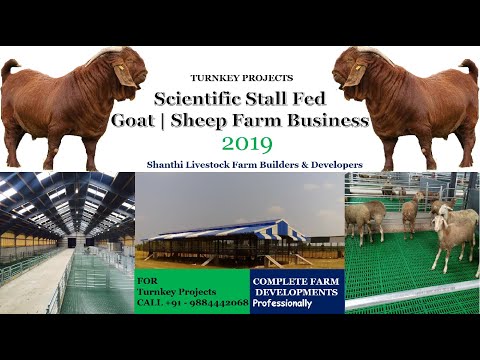 Goat Farming Business Plans How to start goat farming business in india (2018)