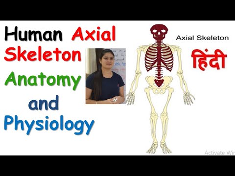 Axial Skeleton in Hindi | Human Skeleton System | Skull | Rib Cage | Vertebral Column