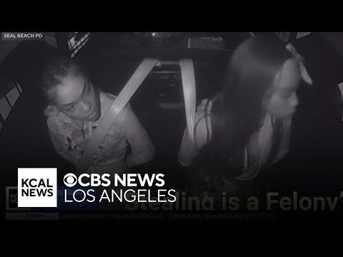 Viral video shows moments shoplifting suspects discuss new California laws in back of patrol car