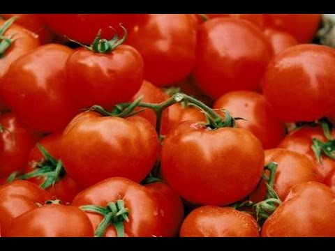 Are Nightshade Vegetables POISONOUS?