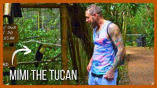 10 Things to Do at the Belize Zoo | Gems.Travel