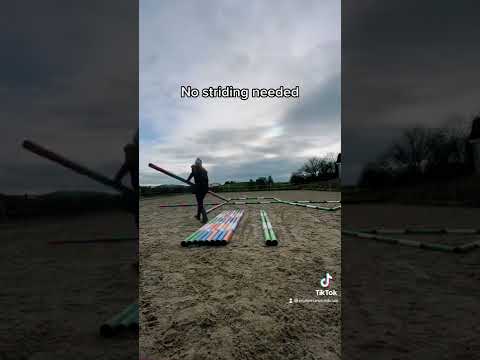 Crazy horse pole exercise
