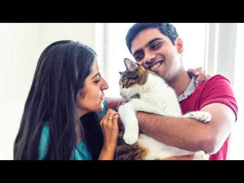 Adopted Cat Brings a Family Together