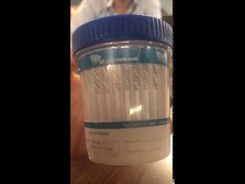 12 Panel Now Drug Testing Cup Overview