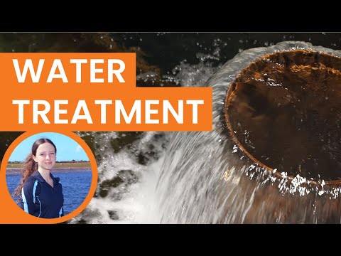 How Do Water Treatment Plants Work?