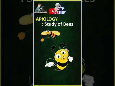 Logy ( Suffix ) Words 1 and Their Meaning English Vocabulary #short Shailendra Sao 1 Step Study