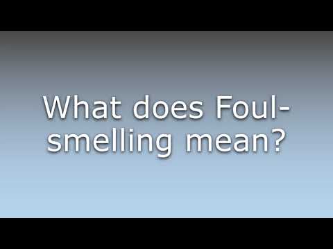 What does Foul-smelling mean?