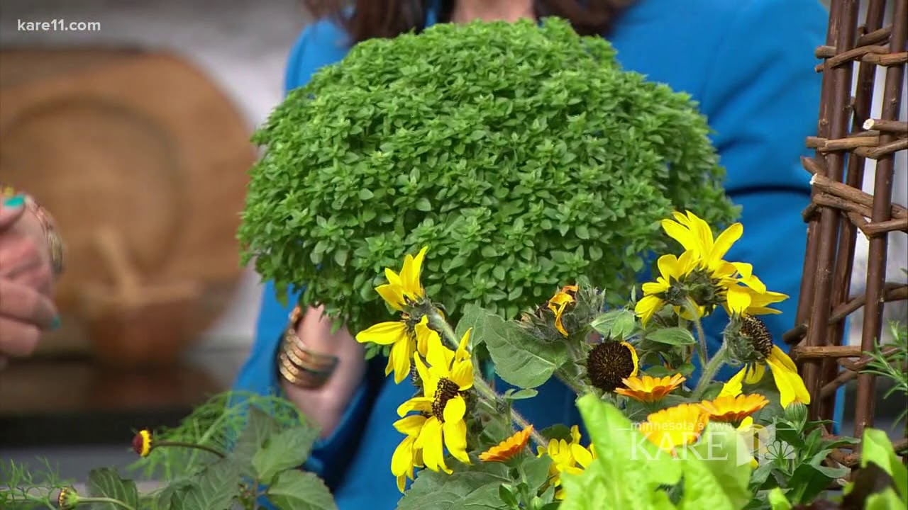 Creating a beautiful, functional garden