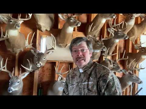 Fast Bible Study #3 Deer