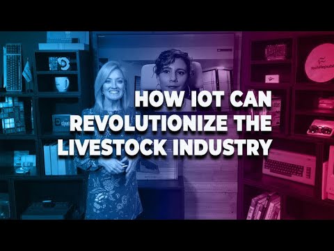 How IoT can revolutionize the livestock industry | ZDNet