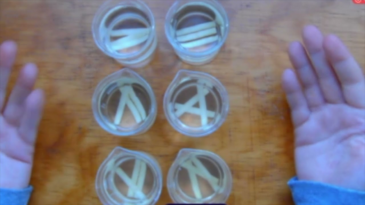 IGCSE Biology Cambridge syllabus 3.2.5