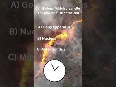 Cell Biology: Which organelle is the powerhouse of the cell?