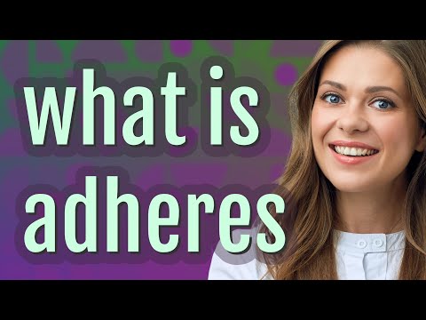 Adheres | meaning of Adheres