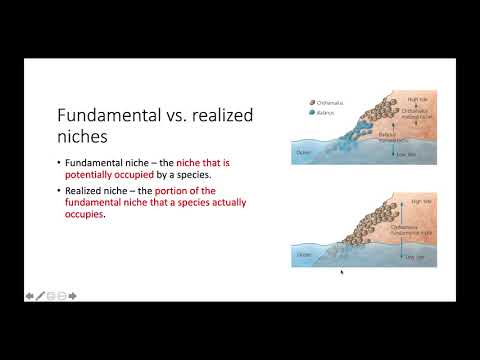 Fundamental vs Realized Niches