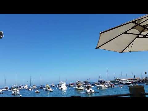 M'lady Seafood Restaurant Catalina Sea ⛵
