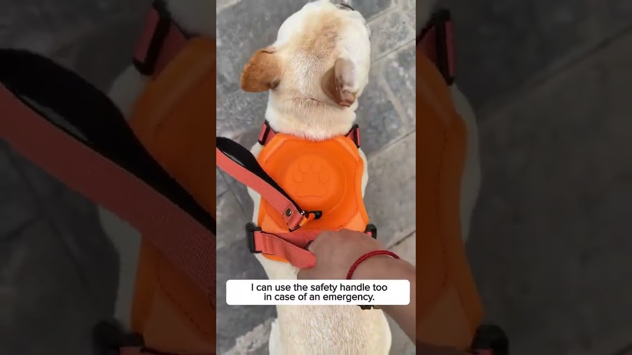 Retractable Dog Harness with Safety Handle, No-Pull Pet Harness with Adjustable Soft Padded Dog