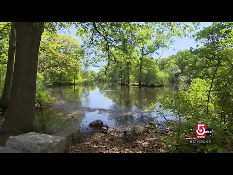 The Lioness of Boston ← Enchanted Prose