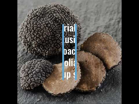 What are 2d materials