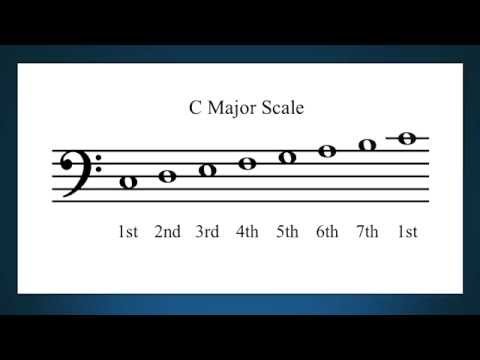 C major scale in the bass clef by degree
