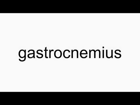 How to pronounce gastrocnemius