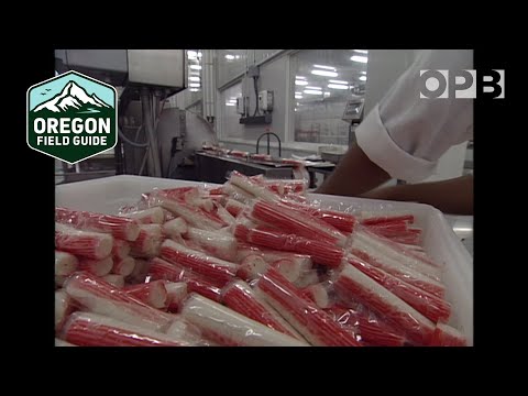 How "krab" is made from Pacific Whiting | Oregon Field Guide