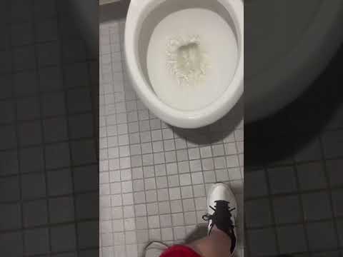 Sloan st-2009 toilet flushing!