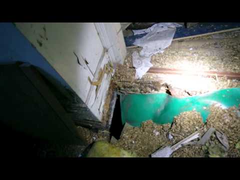 Abandoned Cinema