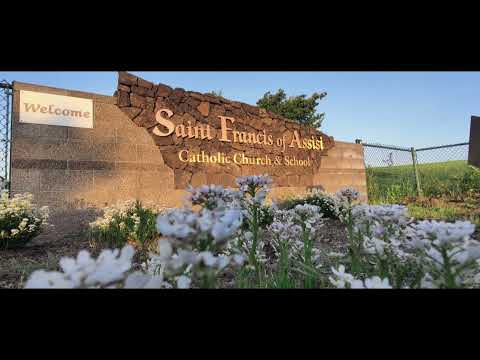 Deacon Phil's Homily October 9, 2024   27th Wednesday OT 2
