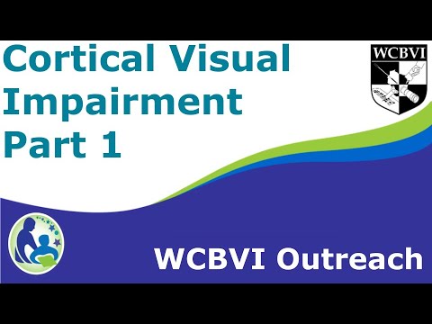 Cortical Visual Impairment Part 1