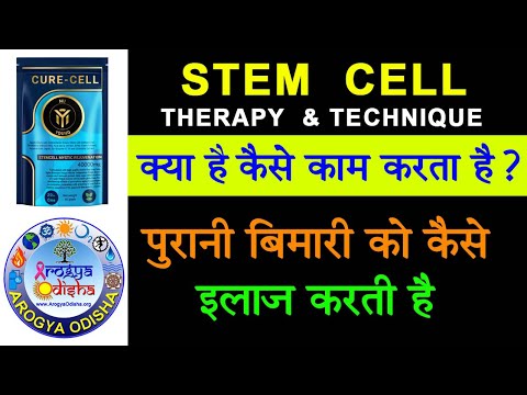 Stem Cells - Cure Cell Stem Cell Nu Young Wholesaler from Baripada