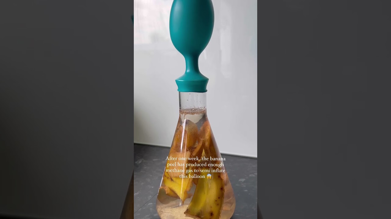 Food Waste Science Experiment