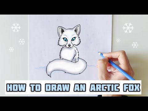 HOW TO DRAW AN ARCTIC FOX - STEP BY STEP - EASY!