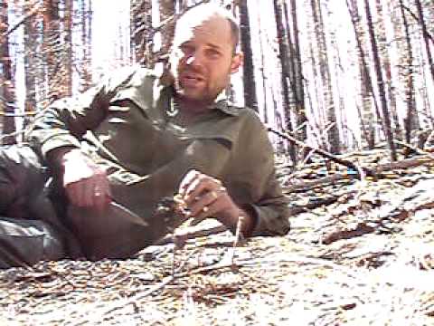 how to pick a morel mushroom