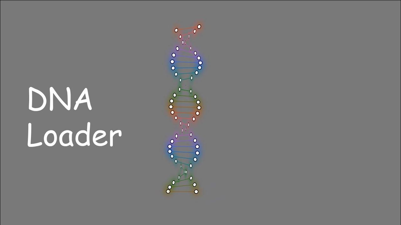 DNA Loader