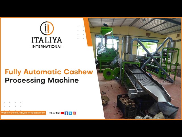 Cashew Shelling and Cutting Machine - Cashew Nut Shelling Machines ...