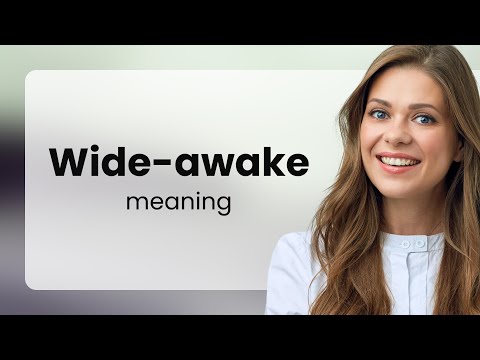 Wide-awake โ meaning of WIDE-AWAKE
