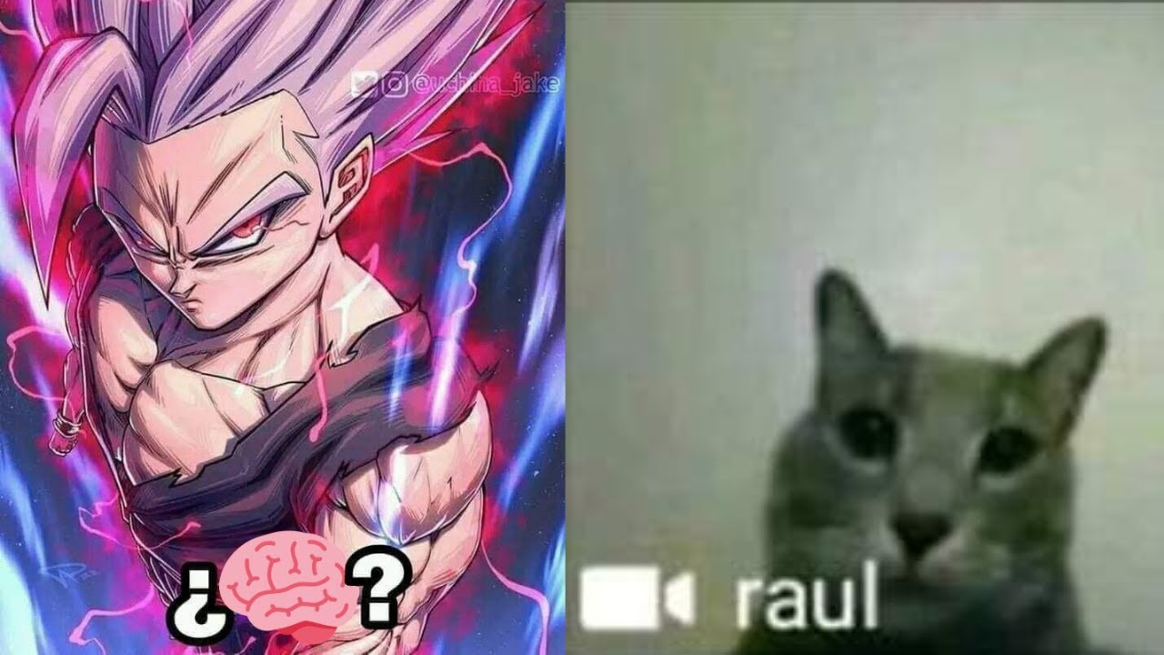 Memes Random muy Kgue de Risa #08 | Shitpost & memes Compilation