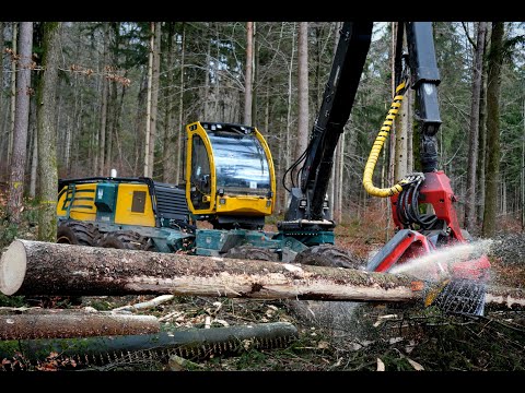 🌲4K|*CraneView* HSM 405 H4 • Harvester Action • Durchforstung • big trees • big machines • Logging🌲