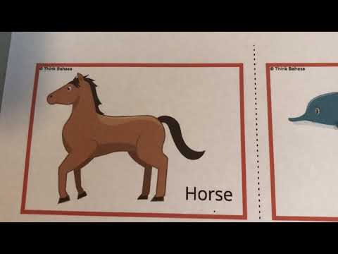 Animals and rhyming words with bat