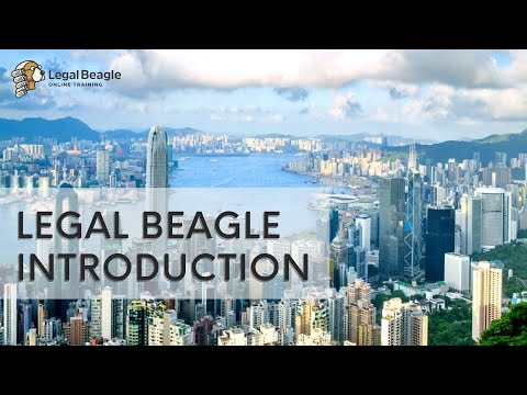 Legal Beagle Introduction