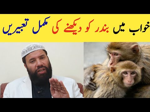 Khwab mein bandar dekhna | monkey dream meaning | khwab mein bandar dekhne ki tabeer | خواب میں بندر