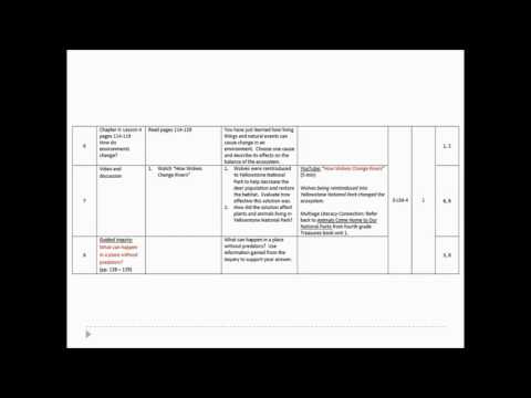 Interdependent Relationships in Ecosystems
