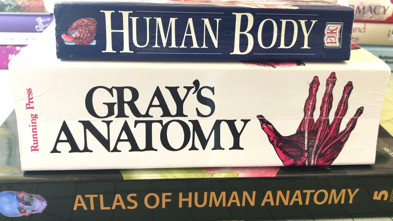 FAVORITE ANATOMY BOOKS: FLIP THROUGH WITH ME!