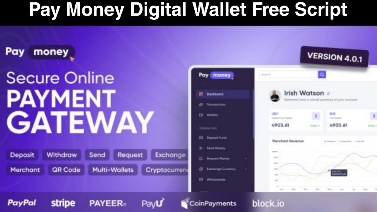 Pay Money Digital Wallet Website Free php Script With Admin Panel