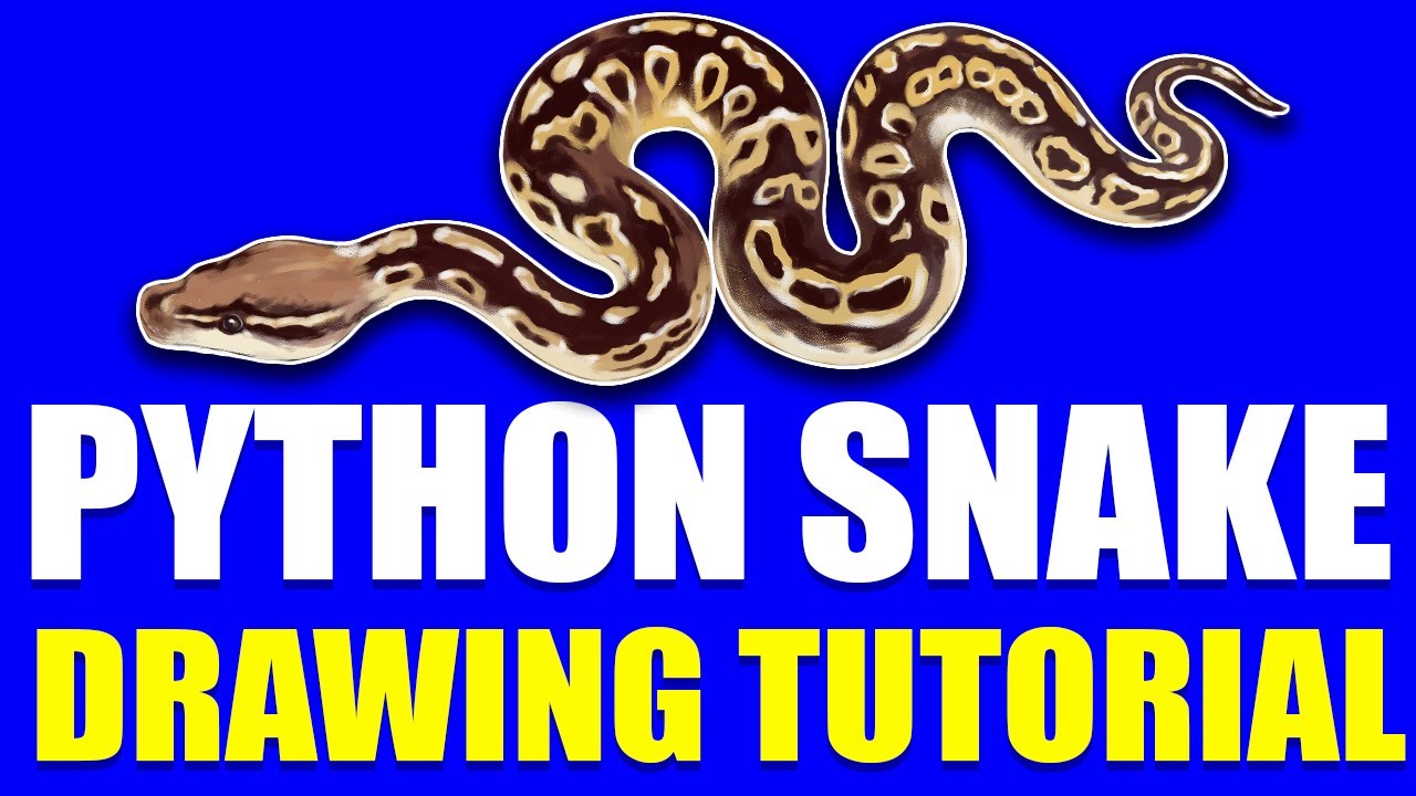PYTHON SNAKE DRAWING TUTORIAL || Python snake sketch || Drawing python snake ||Python drawing easy